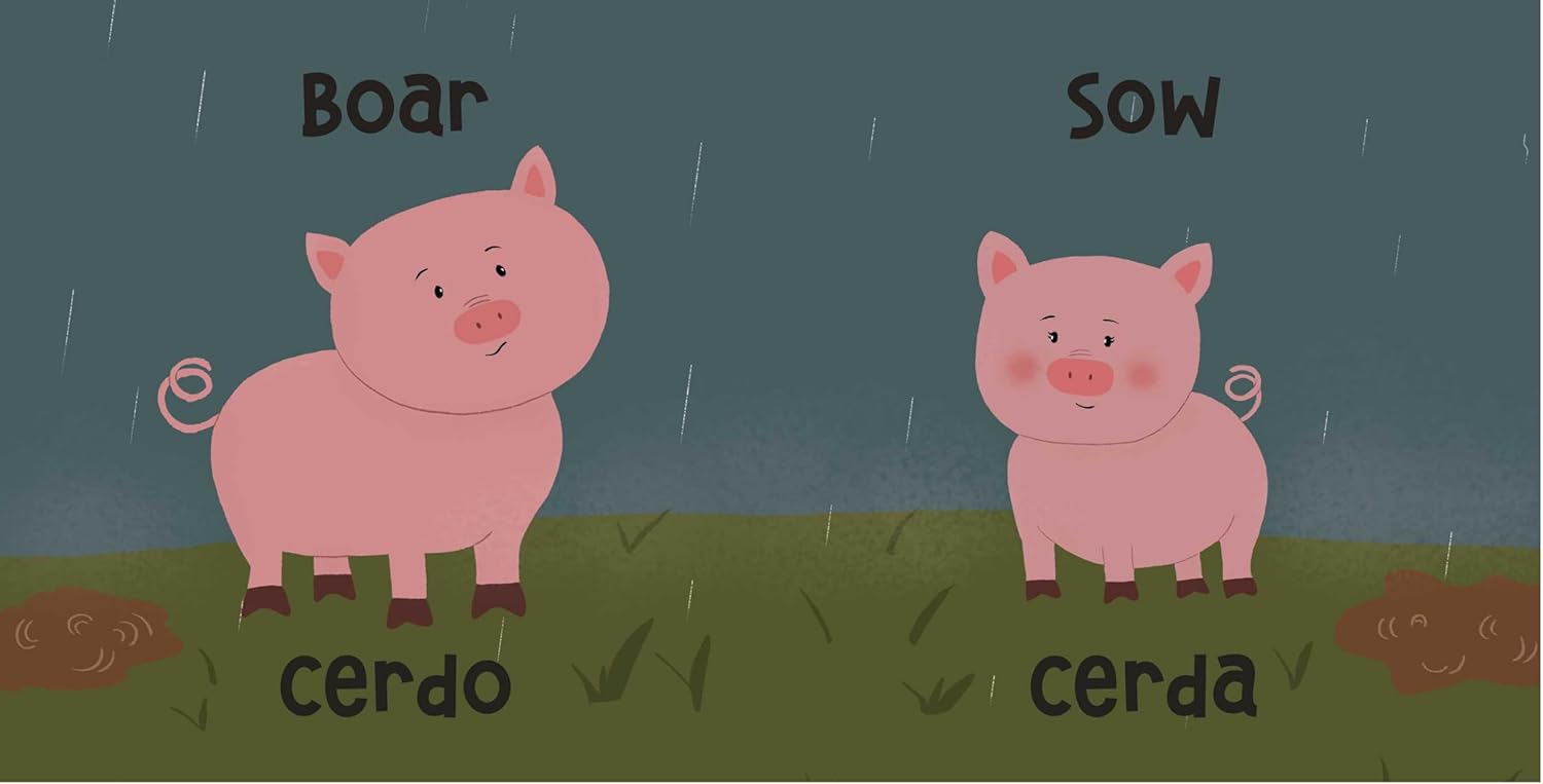 Noah's Ark: Animal Duos / Dúos de animales (Bilingual: English/Spanish